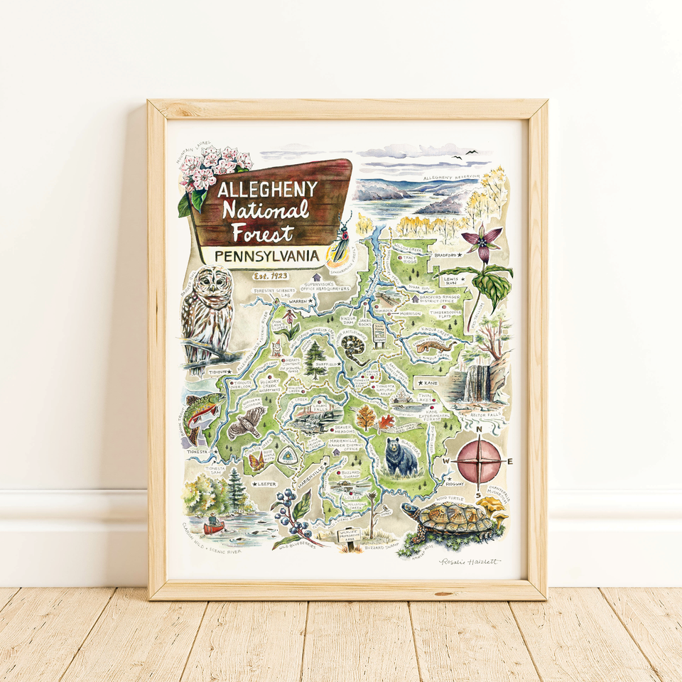 Allegheny National Forest - Watercolor Illustrated Map – Rosalie ...