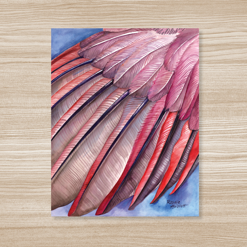 Northern Cardinal Wing - Watercolor Art Print – Rosalie Haizlett ...